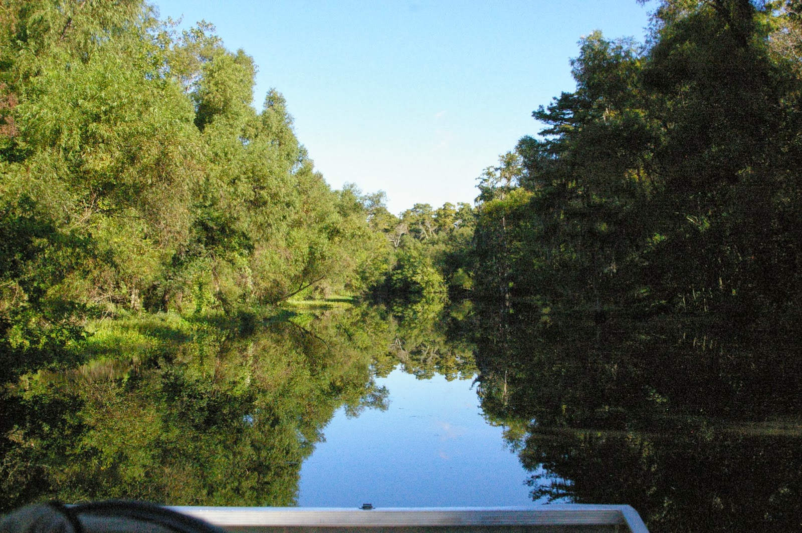 Minnesota Mariners: Swamps and socialites