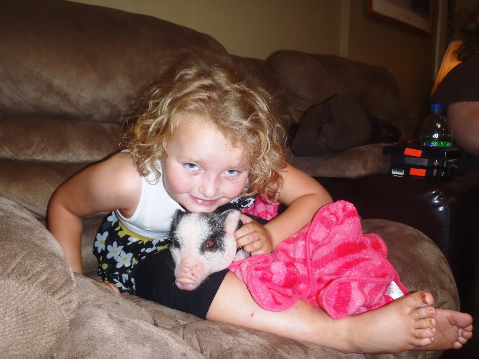 TV with Thinus: HERE IT COMES. Here Comes Honey Boo Boo coming to TLC ...