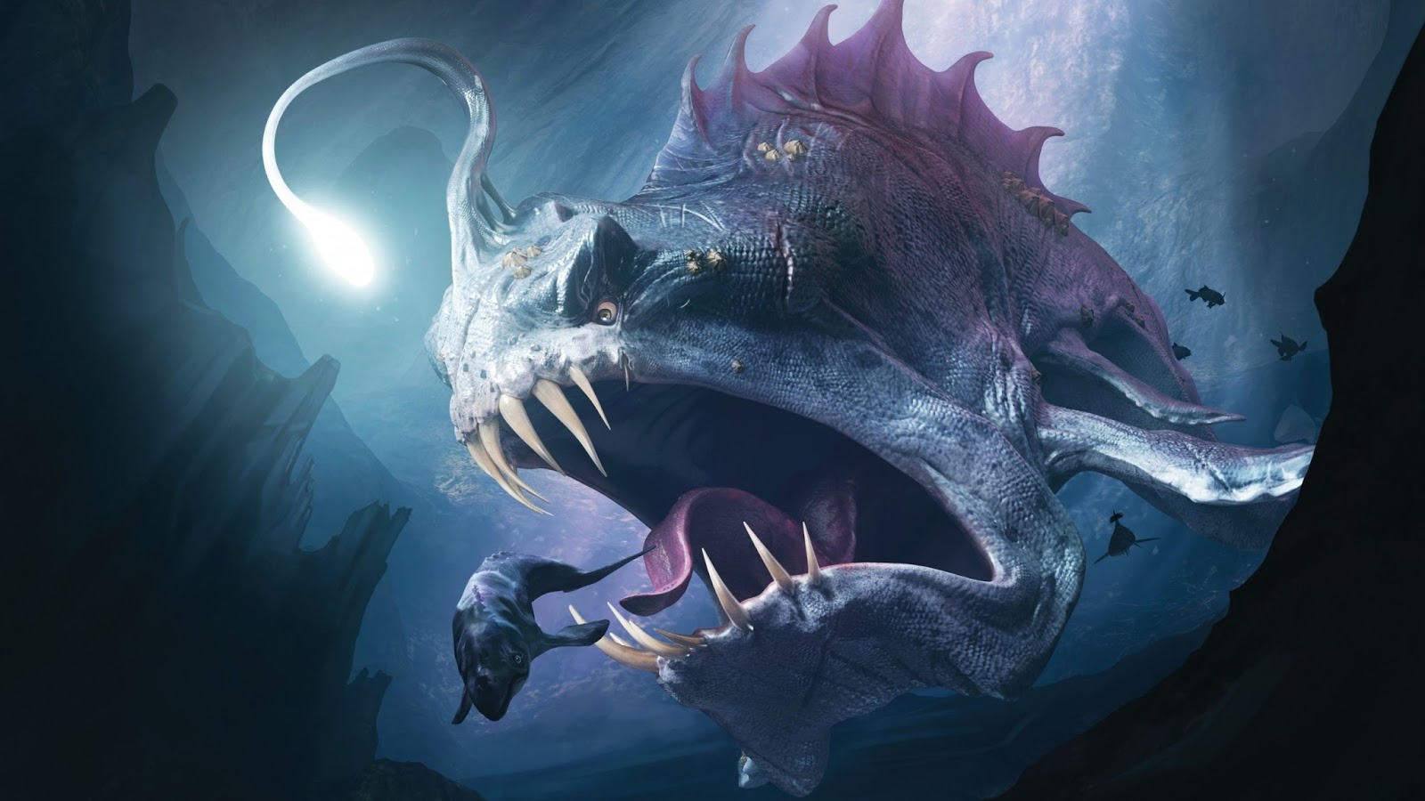 ANGLERFISH photos - wallpapers (ανανεωμένο) | the fun bank