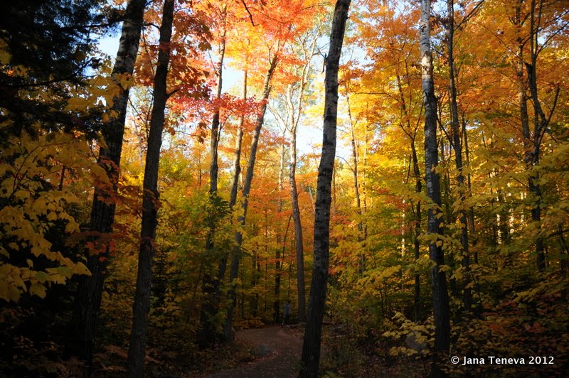 Jana around the world: Peak of Canadian autumn colours in Ontario