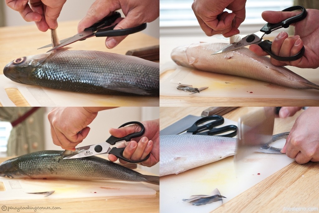 Milkfish Supplier, Milkfish Fresh Market, Milkfish Fillet, Bangus Fish ...