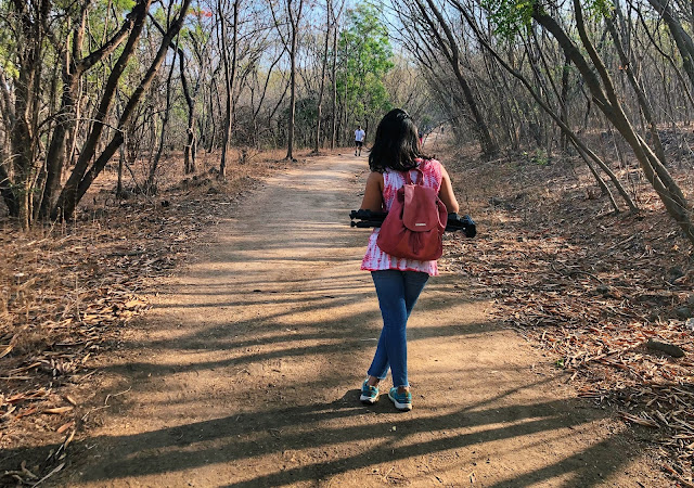 A Walk on Pune's Taljai Hills - The Pretty City Girl | Indian Travel ...