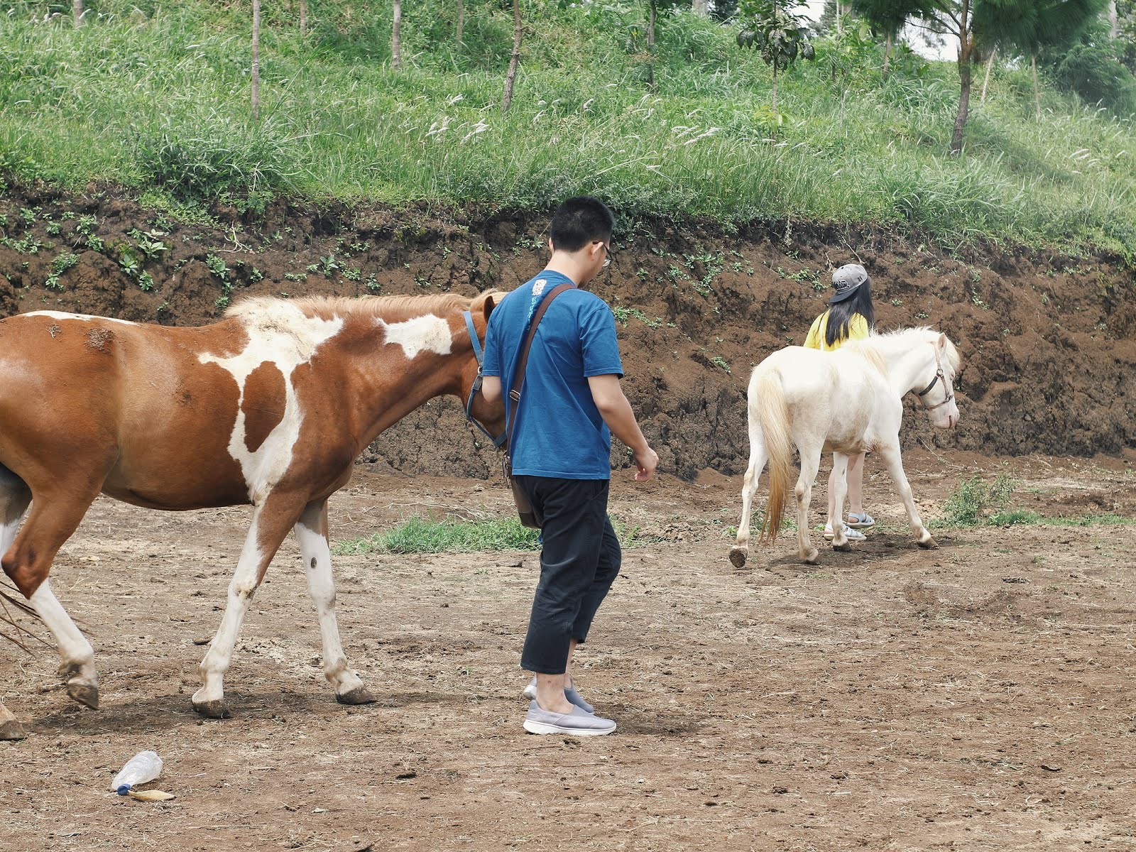 WEEKEND STORY #12: WISATA BERKUDA MEGASTAR (PERHUTANI), BATU - Nina ...