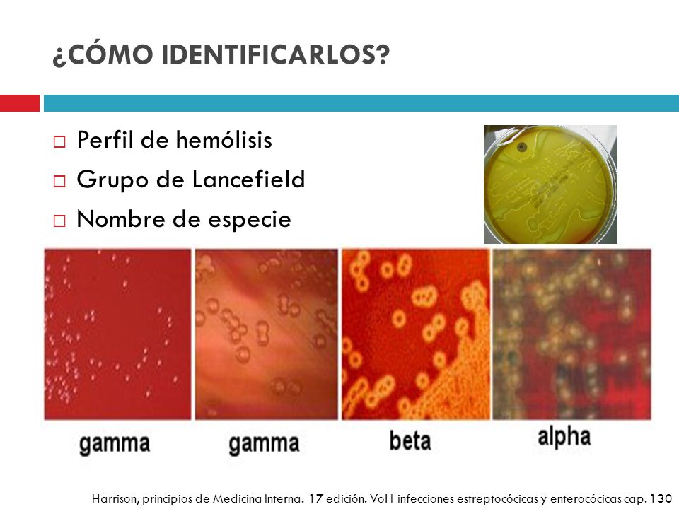 Batallas microbiológicas.: Escarlatina, una enfermedad todavía no olvidada.