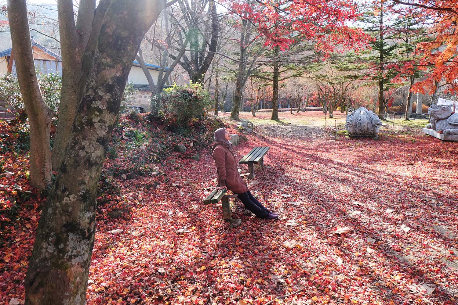 Geumsansa, salah satu kuil paling populer di Korea | Beyond Vacation