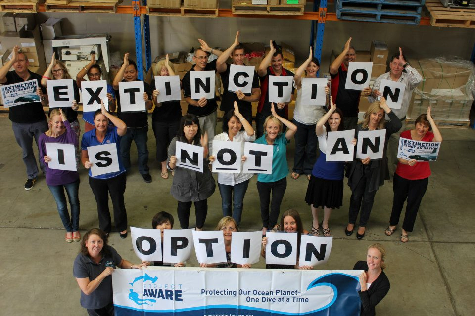 Mermaid Diving: Project AWARE Update February 2013