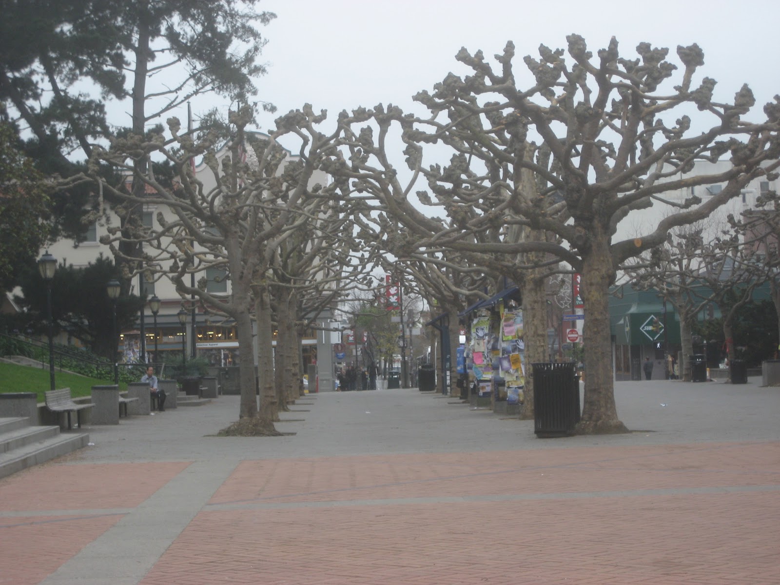 blogarithm: Berkeley campus