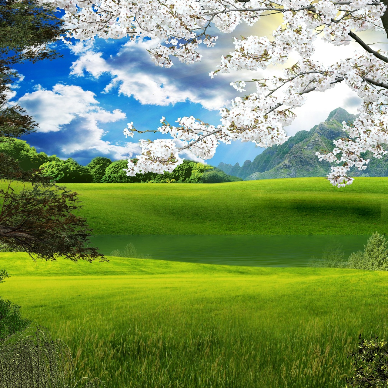 KUMPULAN BACKGROUND PHOTOSHOP PART 2