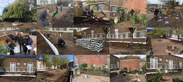 anna francis: Spode Rose Garden at RHS Tatton