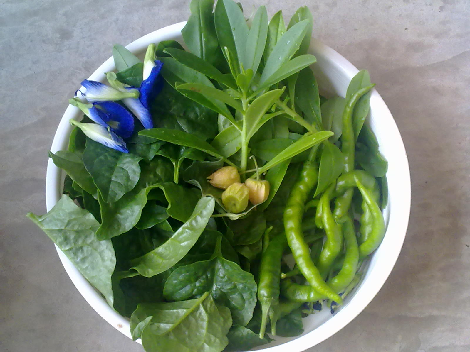 Manfaatkan masa menghasilkan kemanfaatan: Tuai hasil tanaman