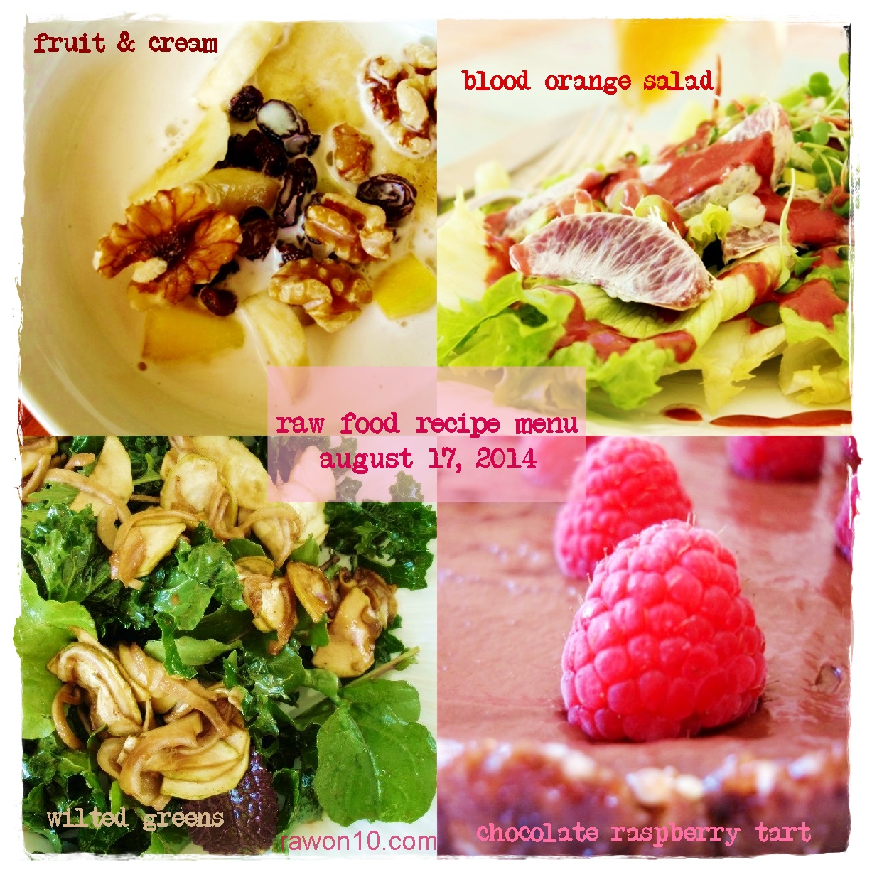 Raw on $10 a Day (or Less!): Raw Food Recipe Menu: August 17, 2014 ...