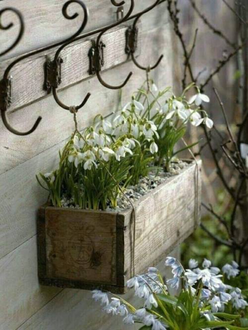 Content in a Cottage: Hanging Box for Spring Flowers