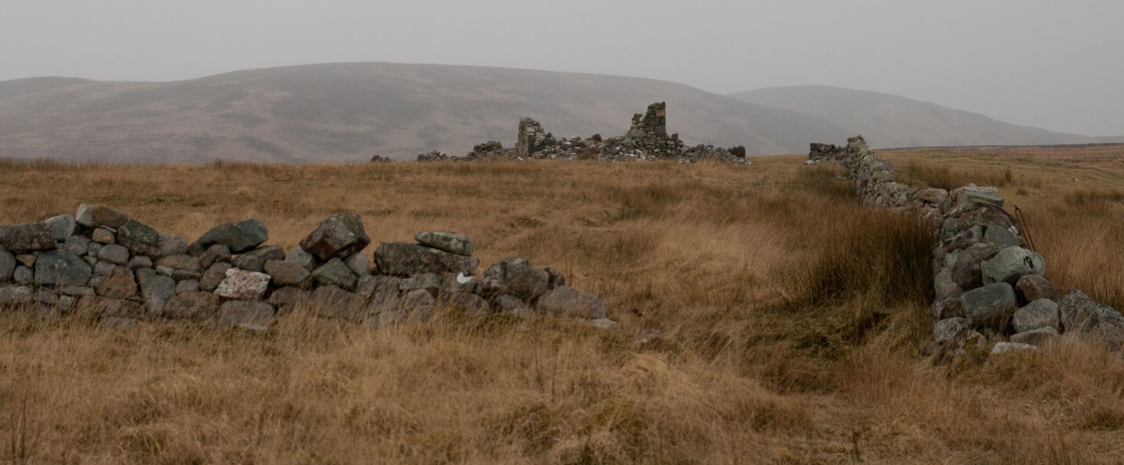 Islay Natural History Trust: Corra-ghoirtein and Coille Mhòr
