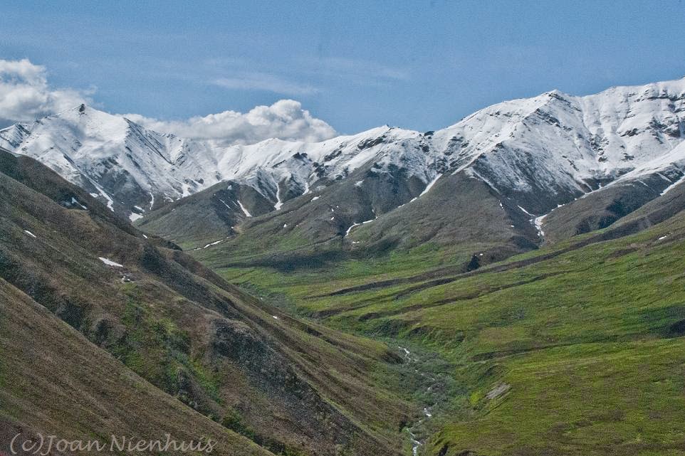Pacific Northwest Photography: Alaska Super Cub Flight Wood River