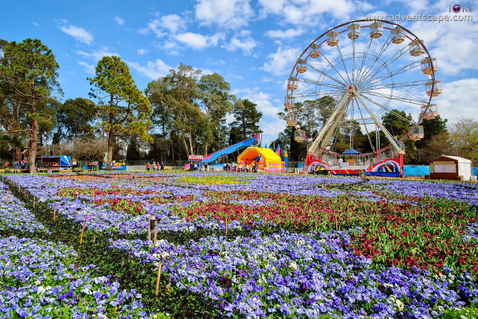 Floriade 2014, AU