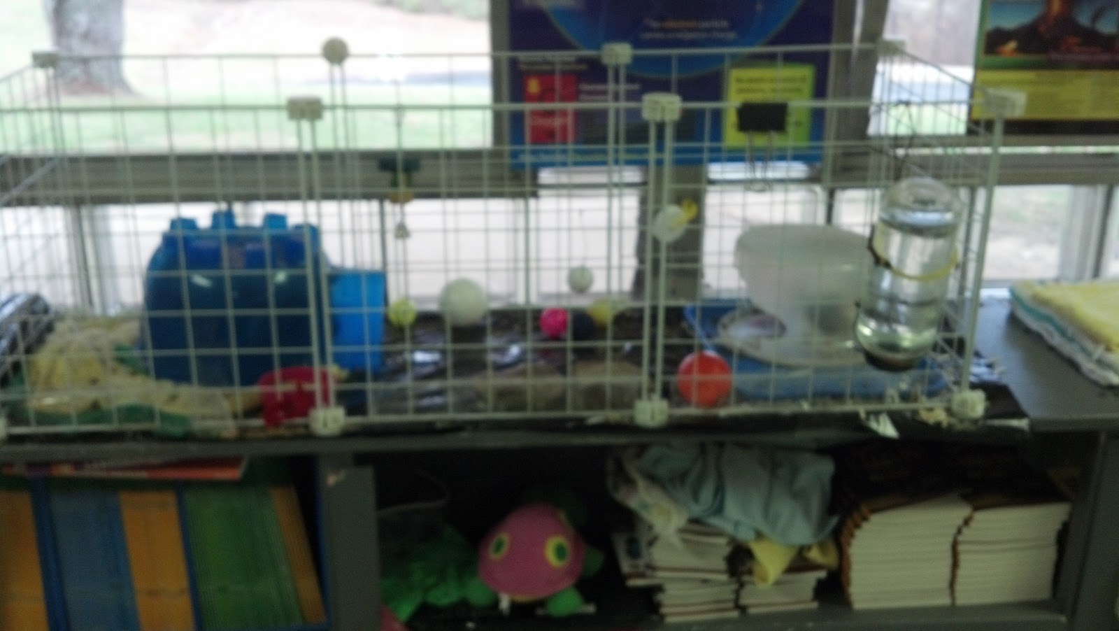 Mrs. Billie Johnson's 4th Grade: Classroom Organization and Layout