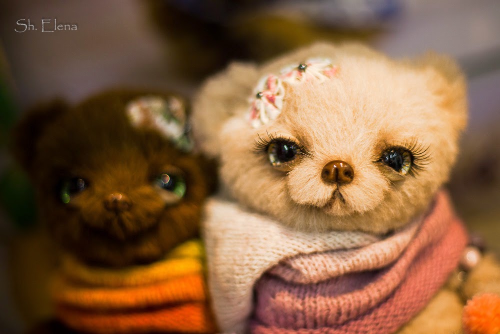 Образы счастья в свободном полёте ...: Hello Teddy 2014