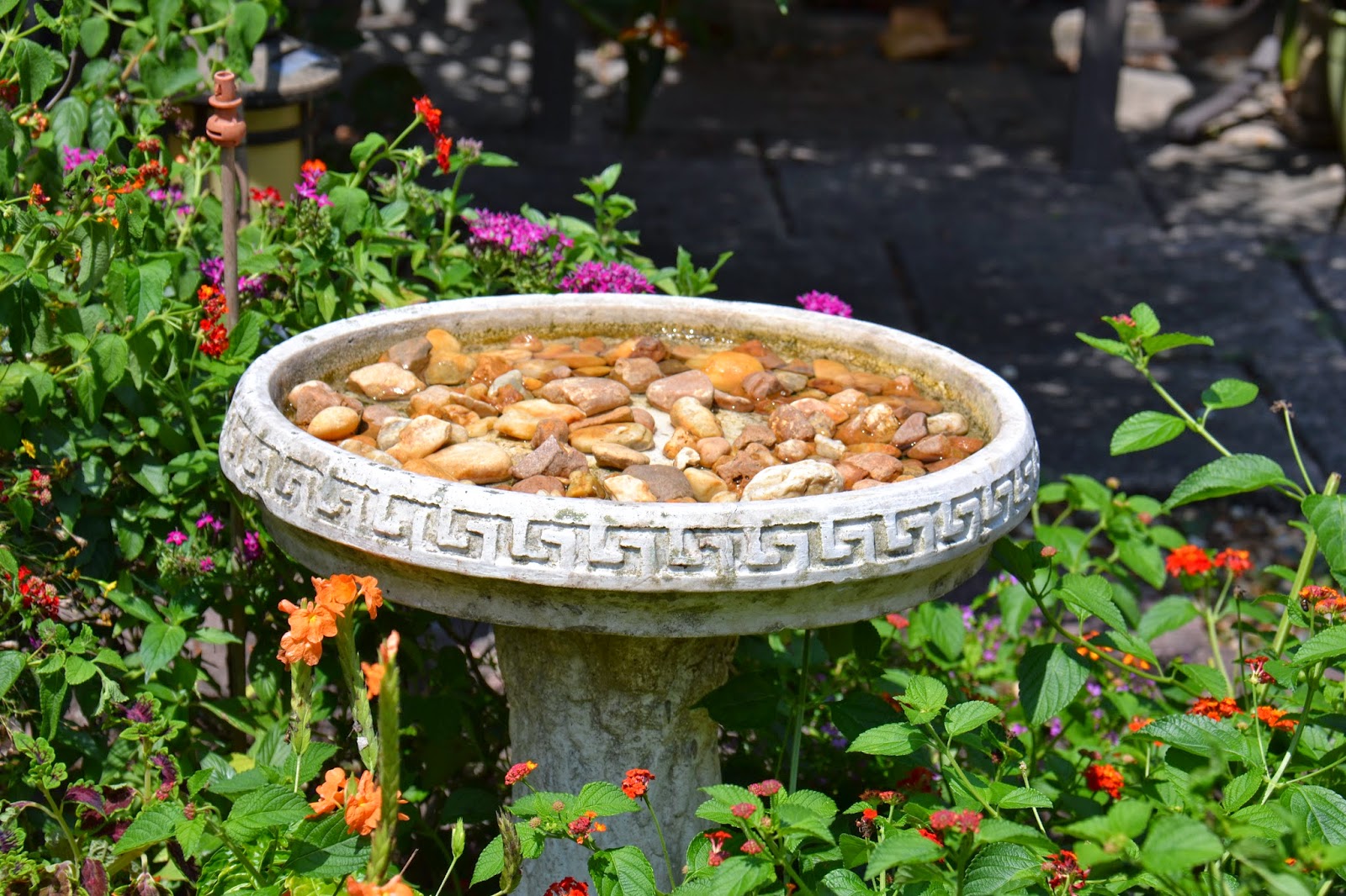 DragonFly Garden: Butterfly drinking water fountain.