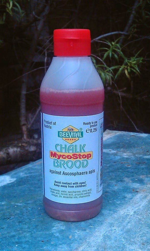 The Hivemind and Me: Honey and Chalkbrood