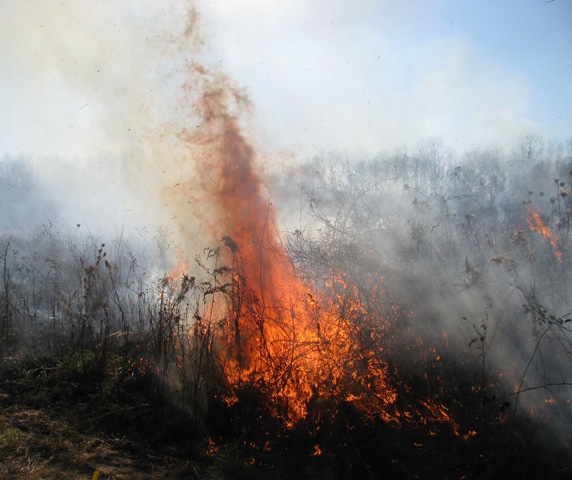 Adventures in Firefighting