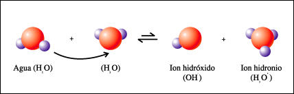 EL FÍSICO LOCO: Ionización del agua