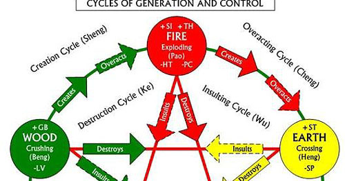 Connecting the Dots: Understanding Internal Organs through ZANG-FU ...