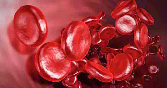 Sumber Pustaka: Mekanisme Proses Pembekuan Darah