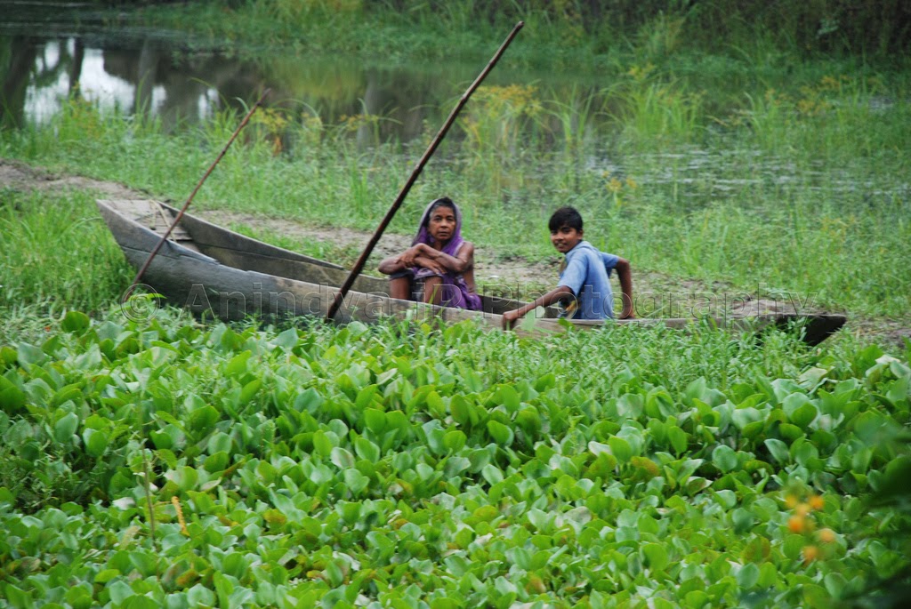 Gram Bangla - Bangladesh Photo Gallery ~ Wallpaper Gallery