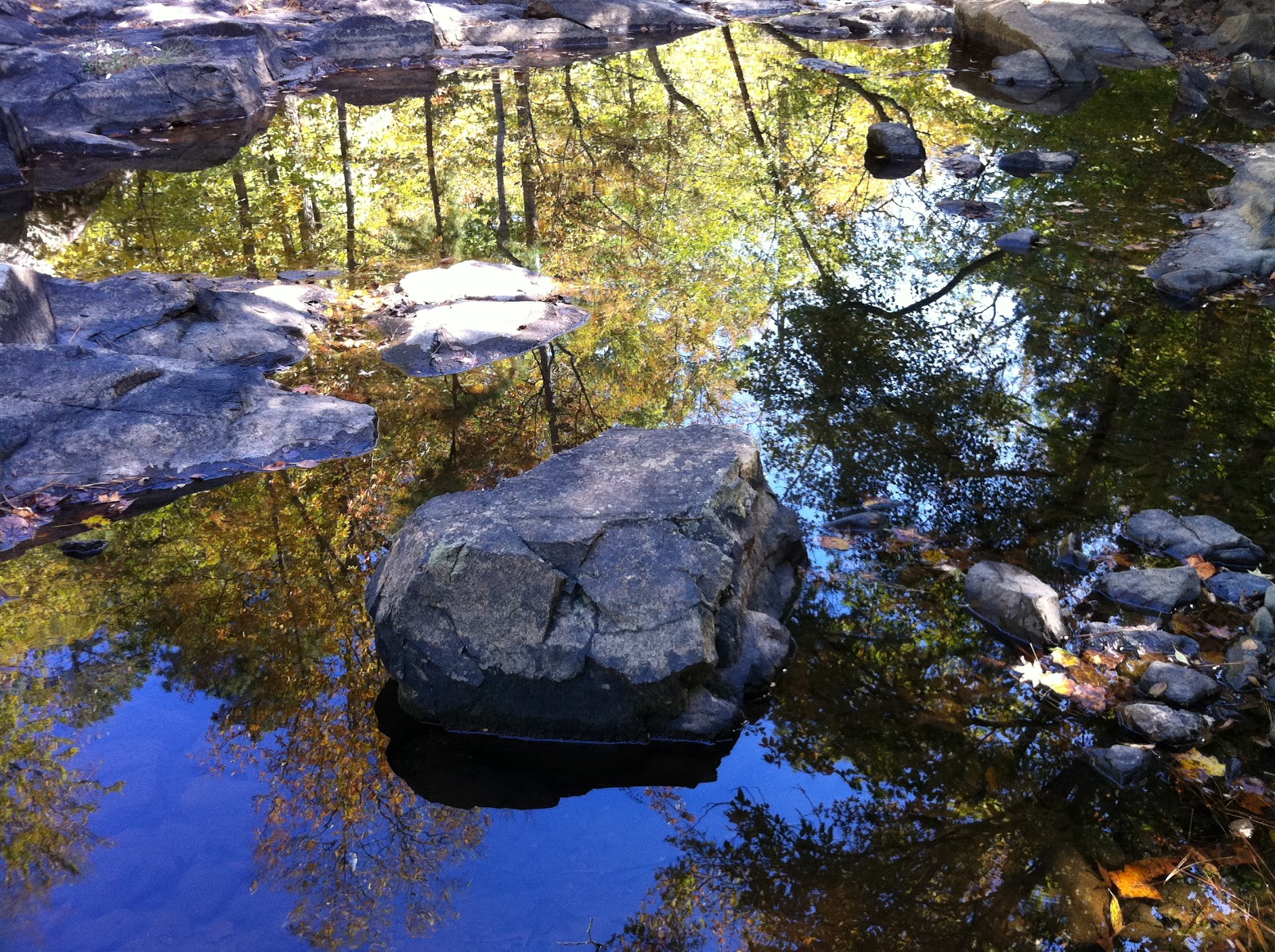 Green Place: Nature Reflections