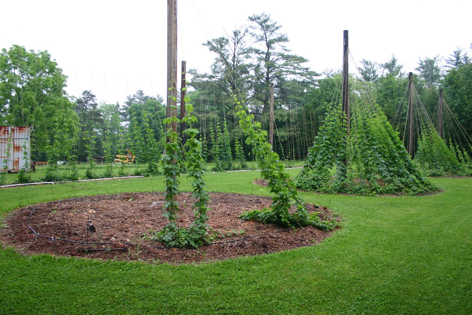 BBG Hops Farm: Farm map