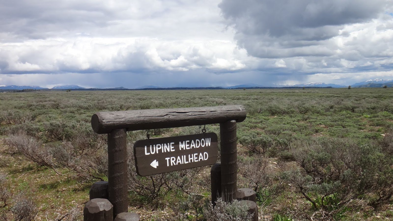 WYOMING WHISKEY: Lupine Meadows Trailhead