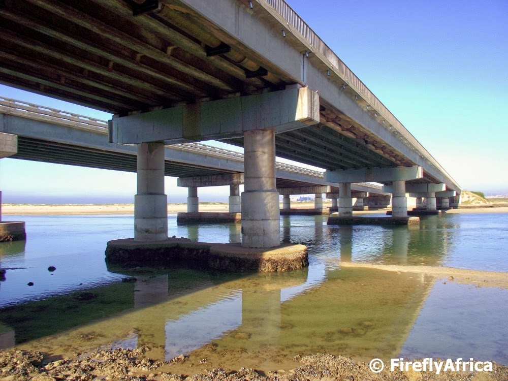 Port Elizabeth Daily Photo: Bridge series #6 - N2 over Swartkops