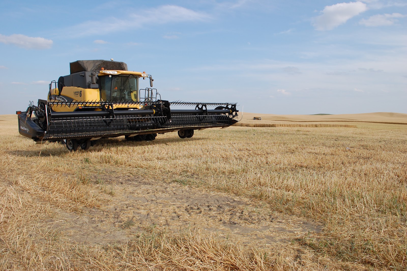 Weckerly Farms: Barley Harvest Continues