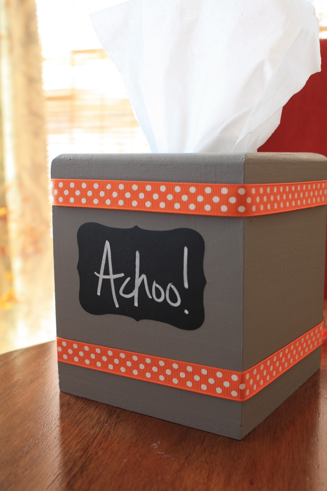 Shush In Your Home: DIY Tissue Box