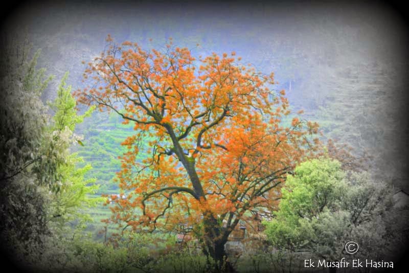 Ek Musafir Ek Hasina: Musafir & Hasina’s Great Kullu Adventure Part 2 ...