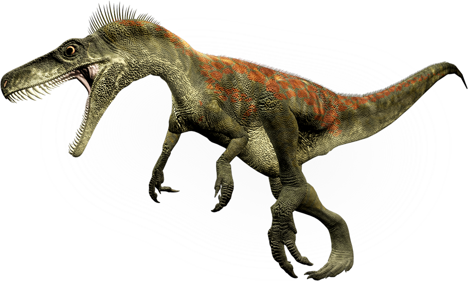 dinosaurs world: fact about dinosaurs