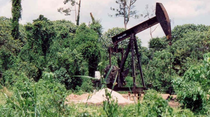 Meesa Back!! Indonesia to Rejoin OPEC | International Political Economy ...