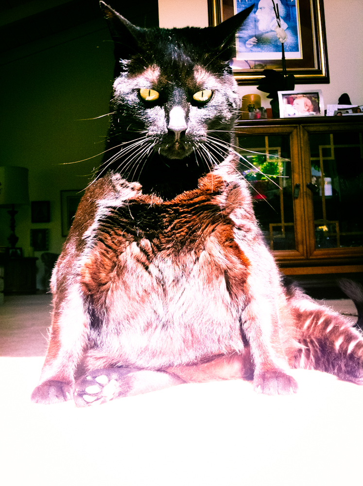 KRISTYAN STJERNE: Aeronautics