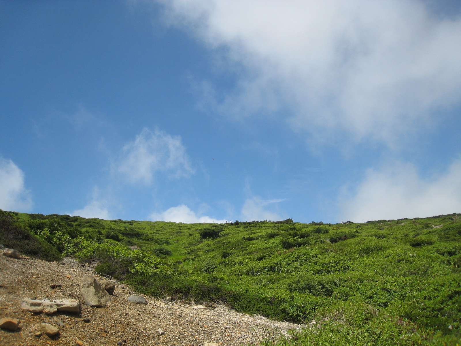 Visit Japan, Travel Japan, Discover Japan: Mt. Zao - The Most Popular ...