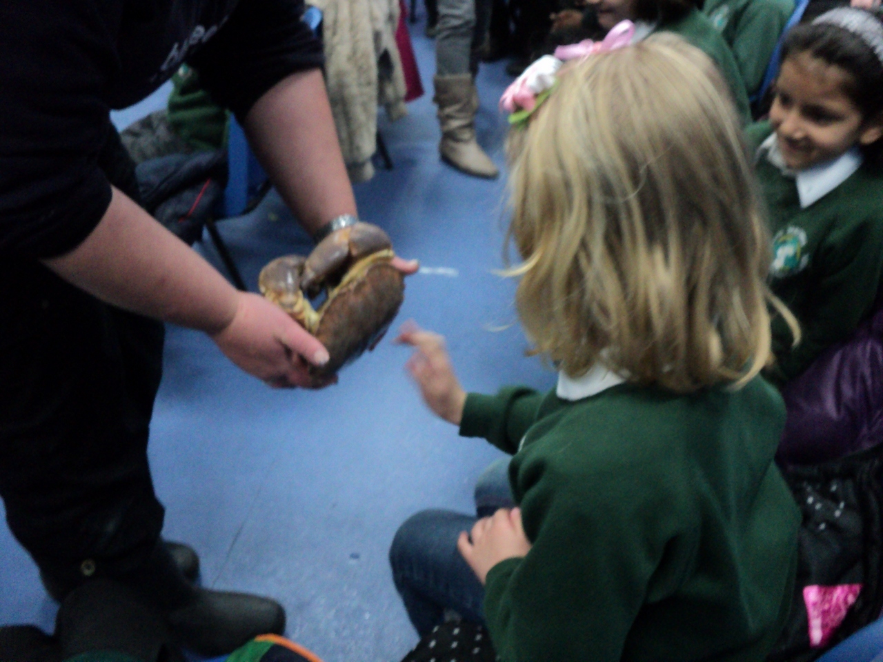 Maytree Nursery and Infant School Blog: May 2012