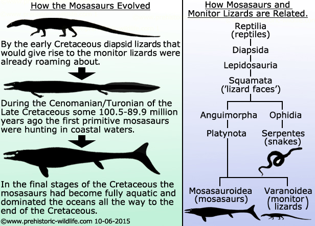 Los mosasaurios. Terror de los mares cretácicos.