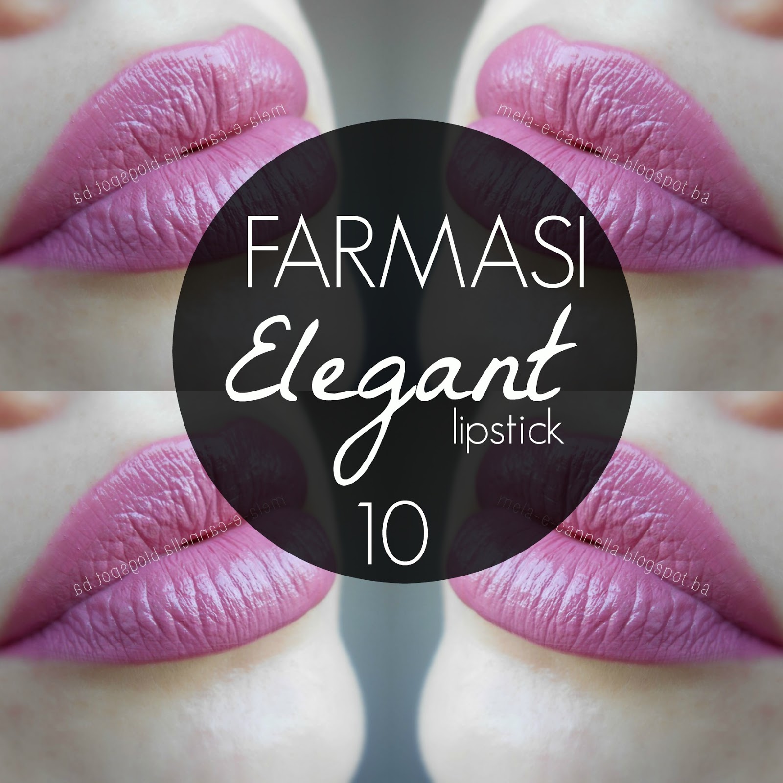 mela-e-cannella: FARMASI Lipstick - Elegant 10