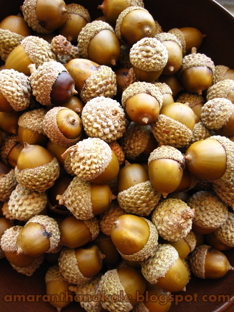 Amaranth & Kale: Twig & Acorn Wreath