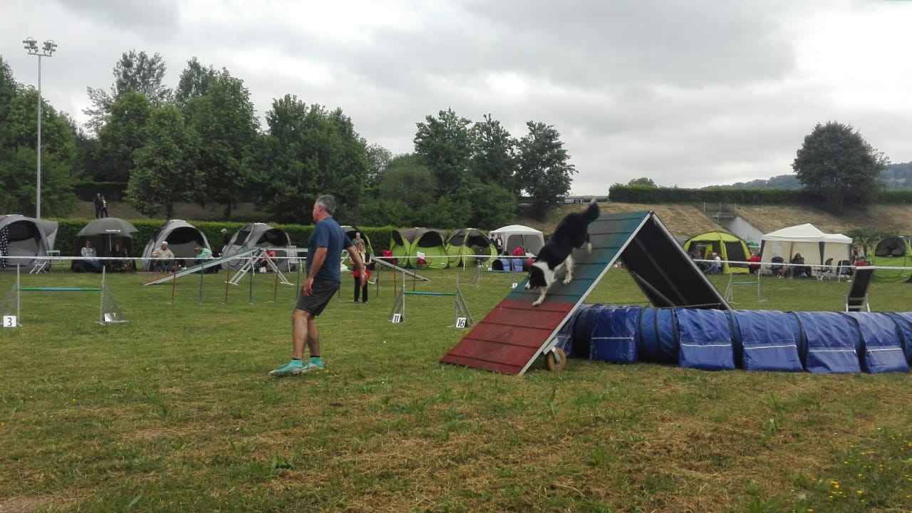 Lady Crooks sophisticated