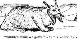 The Great Dungeon of the North: Missing Lynx