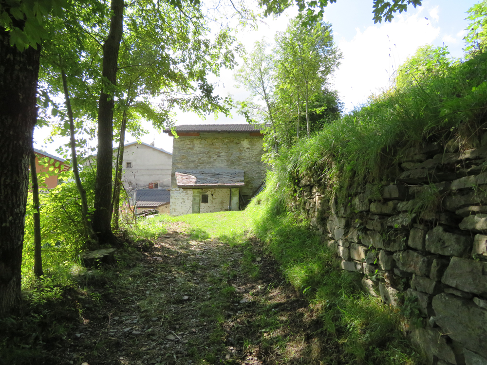 Escursionismo a 360°: Monte Cimone (da Canevare)