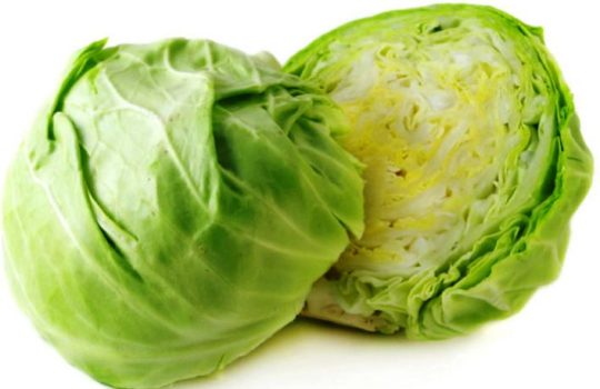 Sayur Kol Bisa Membuat Kembung ~ Asregi Asril