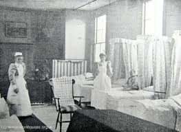 The Blossom Collector