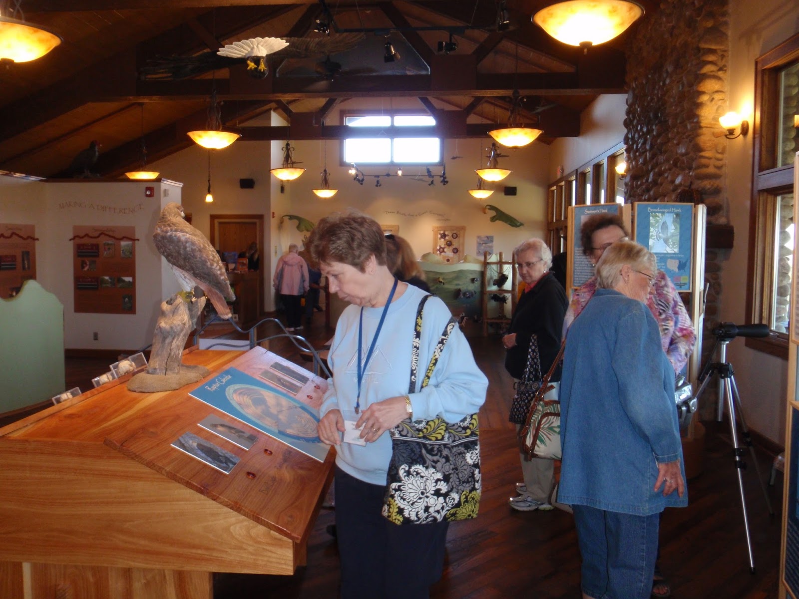 Coming Soon...Jester Park Nature Center!