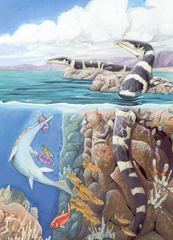 Waxing Paleontological: Marine Snouters of the Triassic